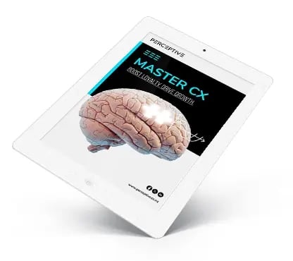 CX Master Playbook Download